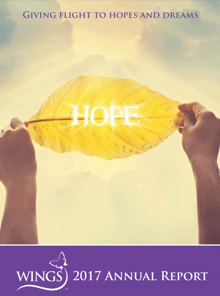 WINGS Annual Report | About WINGS | WINGS Program