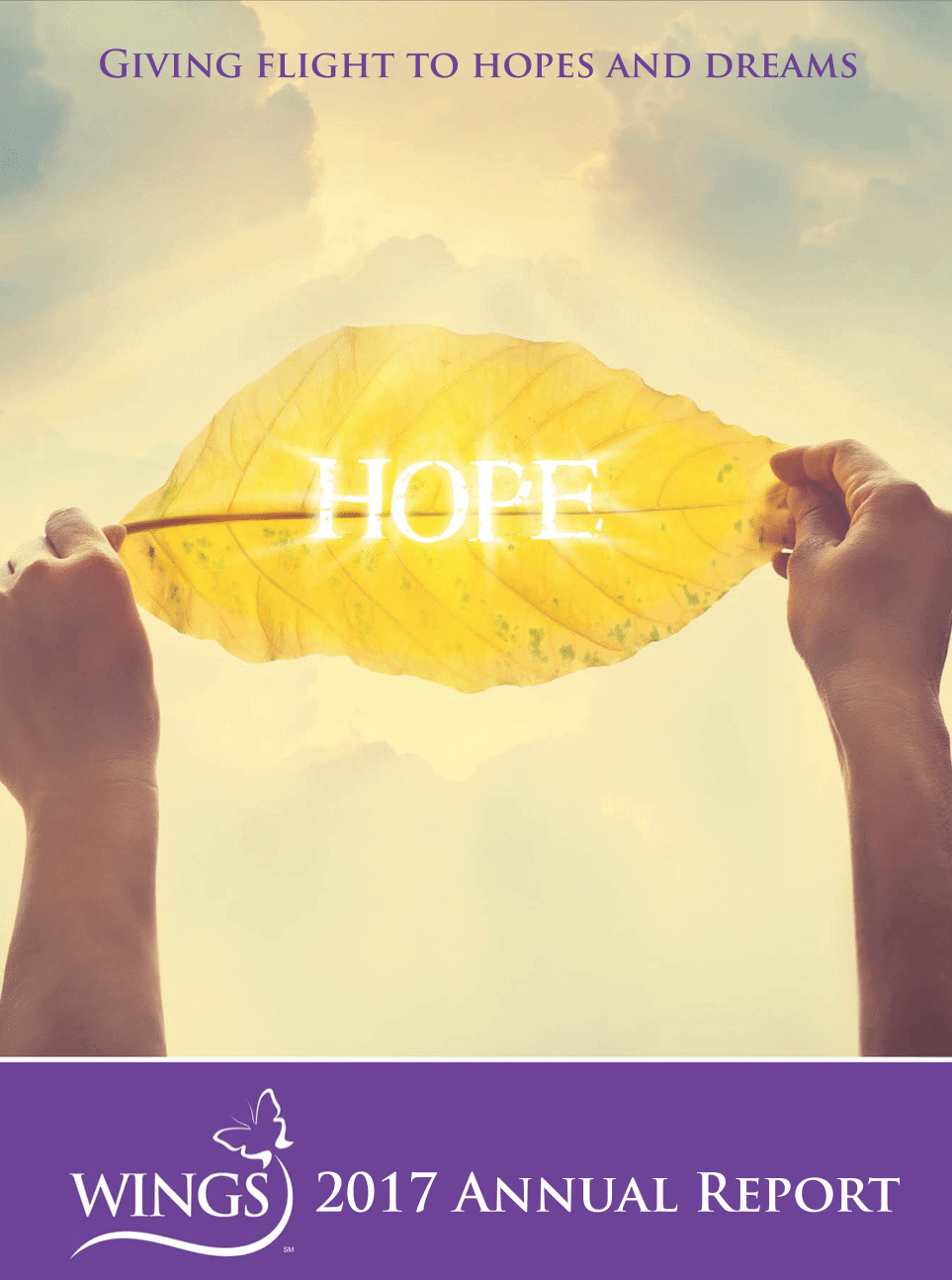 WINGS Annual Report | About WINGS | WINGS Program