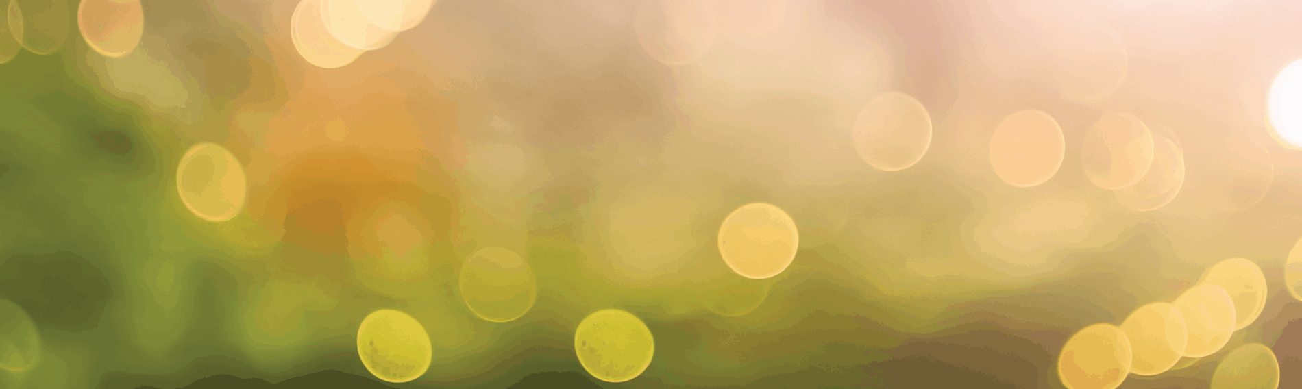 WINGS Program | Domestic Violence Service Provider | Chicago | Illinois