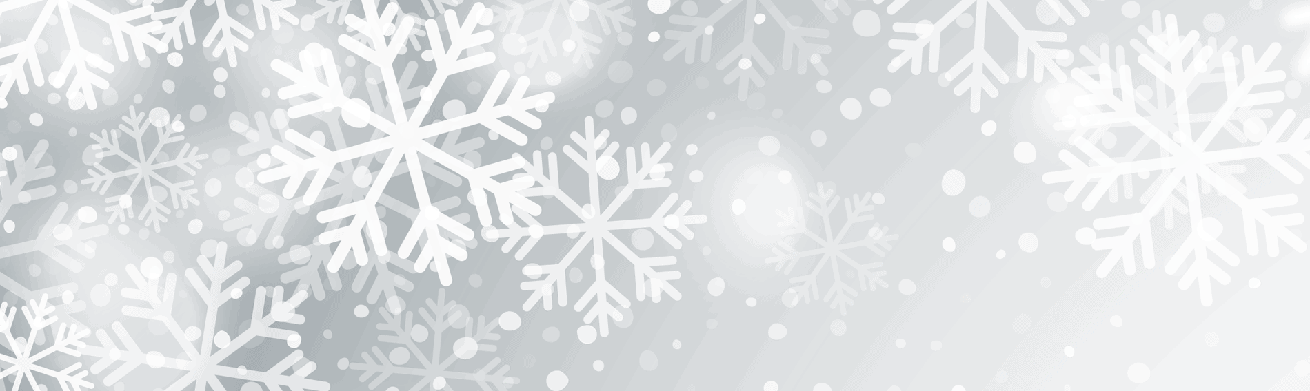 WINGS Program | Domestic Violence Service Provider | Chicago | Illinois