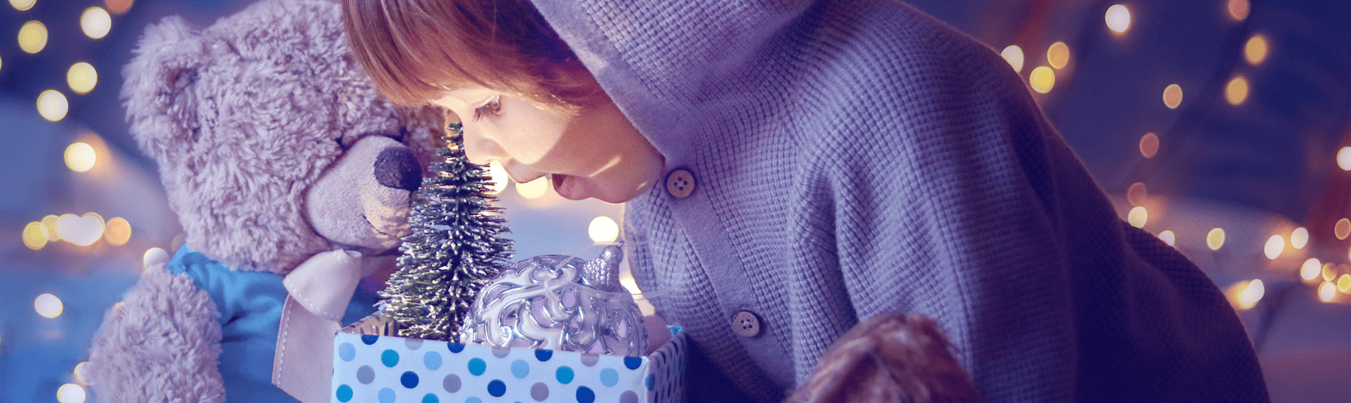 WINGS Program | Domestic Violence Service Provider | Chicago | Illinois