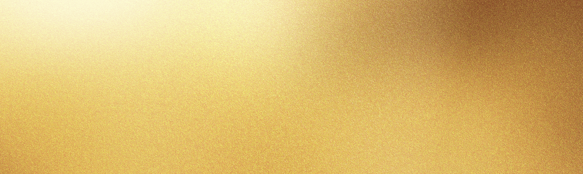 WINGS Program | Domestic Violence Service Provider | Chicago | Illinois