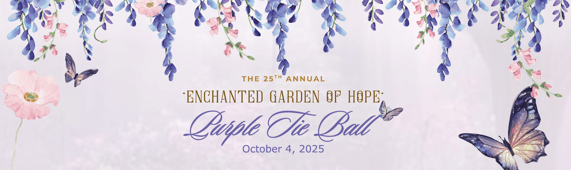 WINGS Program | Domestic Violence Service Provider | Chicago | Illinois