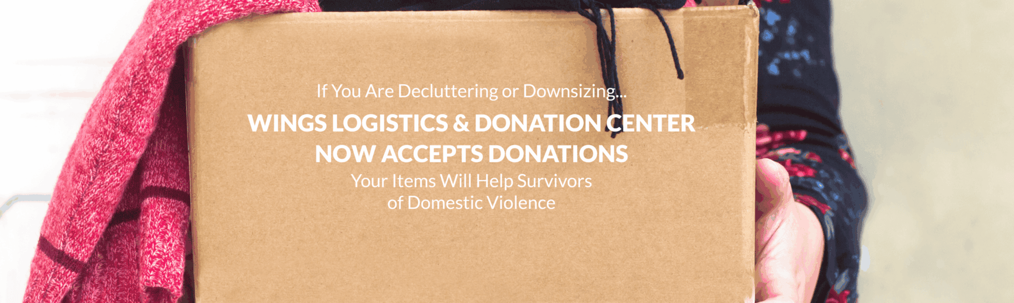 WINGS Program | Domestic Violence Service Provider | Chicago | Illinois