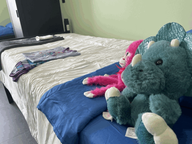 5 Ways You Can Help WINGS Survivors this Holiday Season | WINGS Program